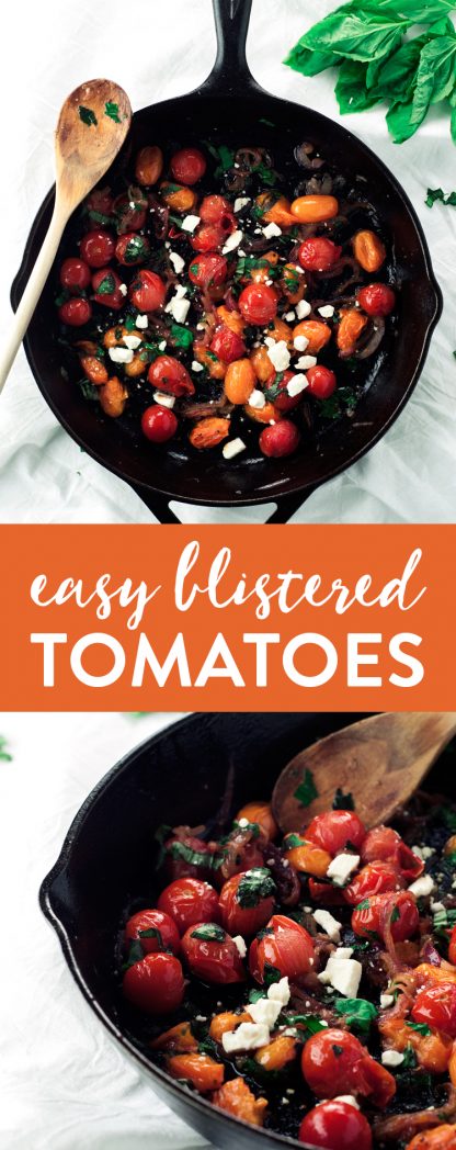 Easy Blistered Tomatoes Recipe • A Simple Pantry