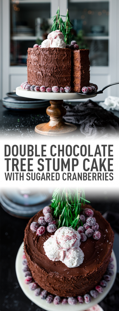 Double Chocolate Tree Stump Cake with Sugared Cranberries • A Simple Pantry