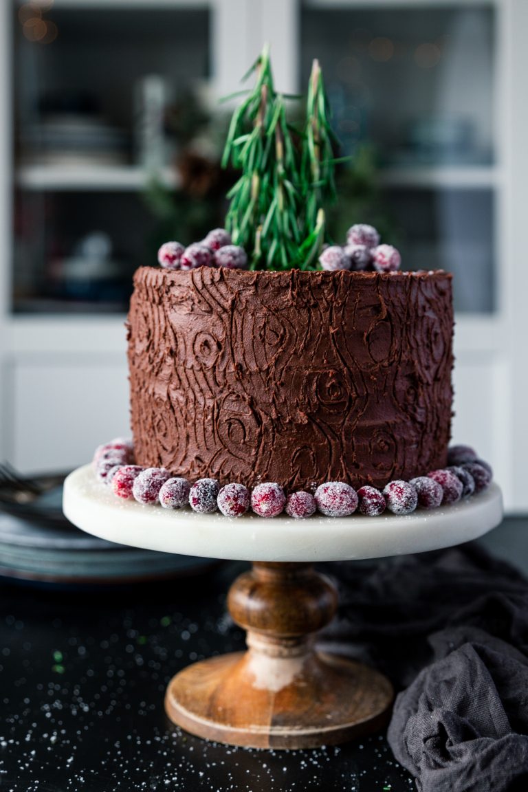 Double Chocolate Tree Stump Cake with Sugared Cranberries • A Simple Pantry