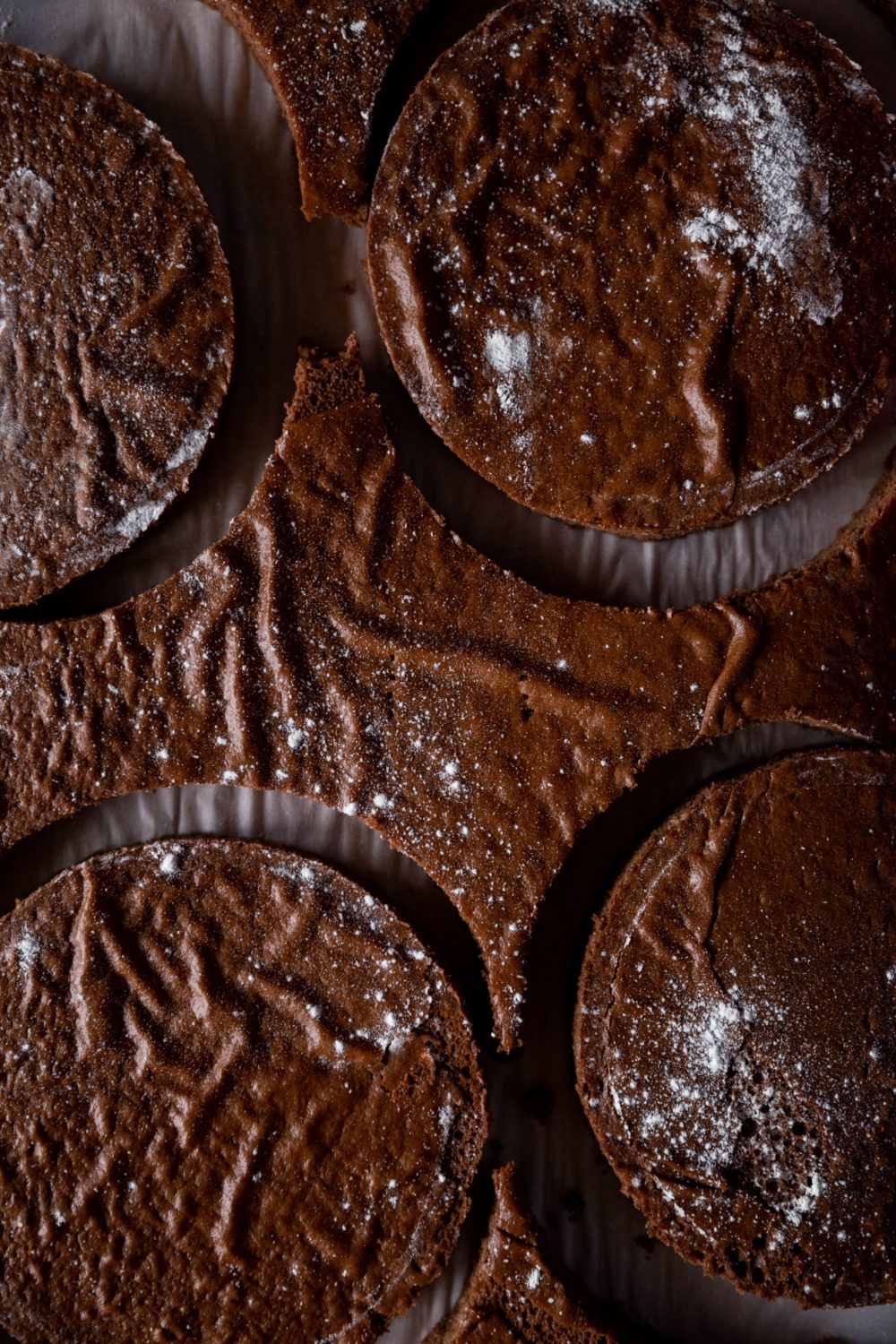 Double Chocolate Tree Stump Cake with Sugared Cranberries • A Simple Pantry